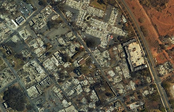 GEO, Global Events Observer | McKenzie Intelligence Services