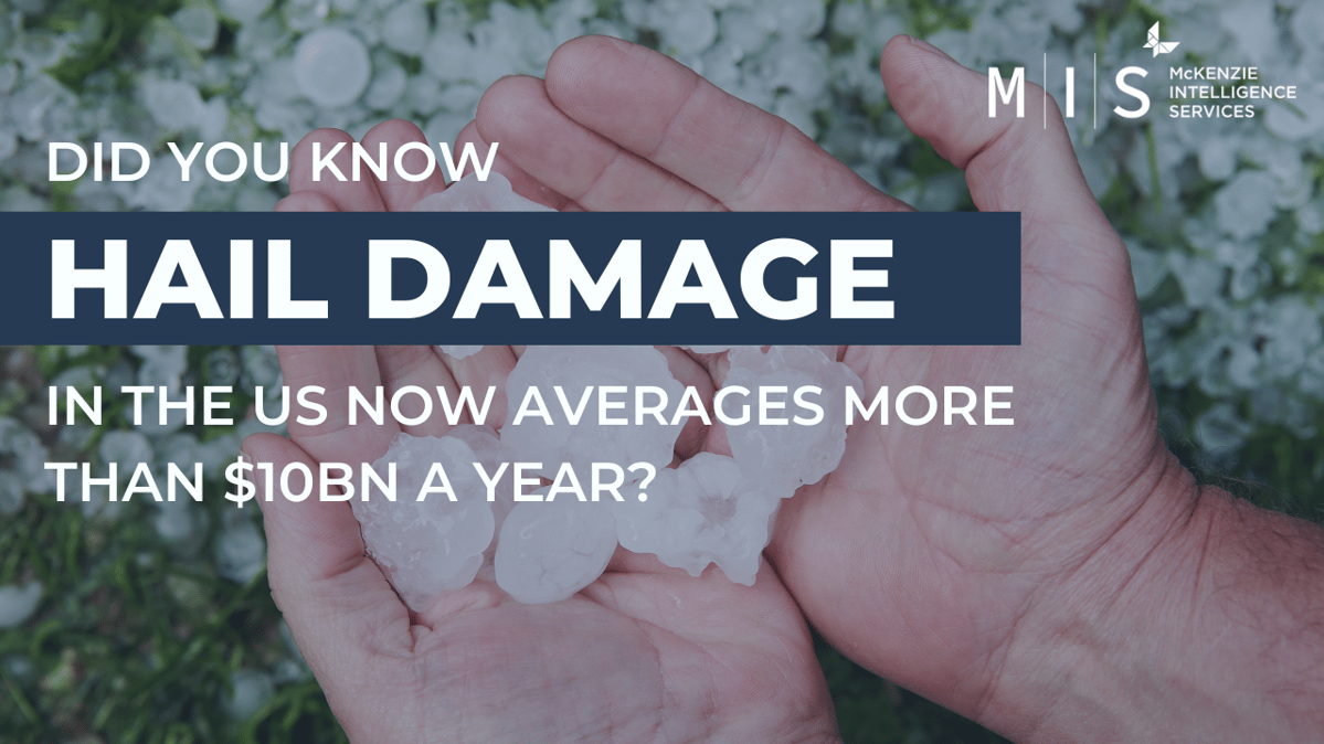 Hail: The United States’ most underrated danger - McKenzie Intelligence ...